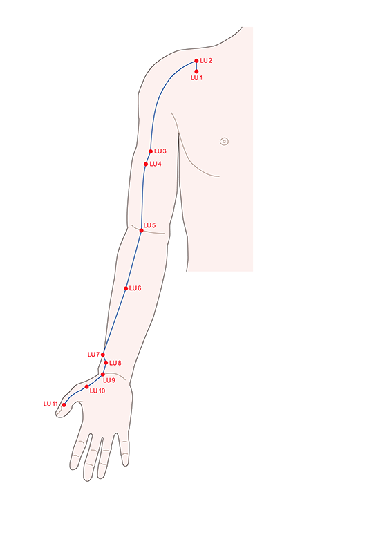 LU10 어제 (魚際, English Name: Fish Border Pinyin Name: Yu Ji) : 네이버 블로그
